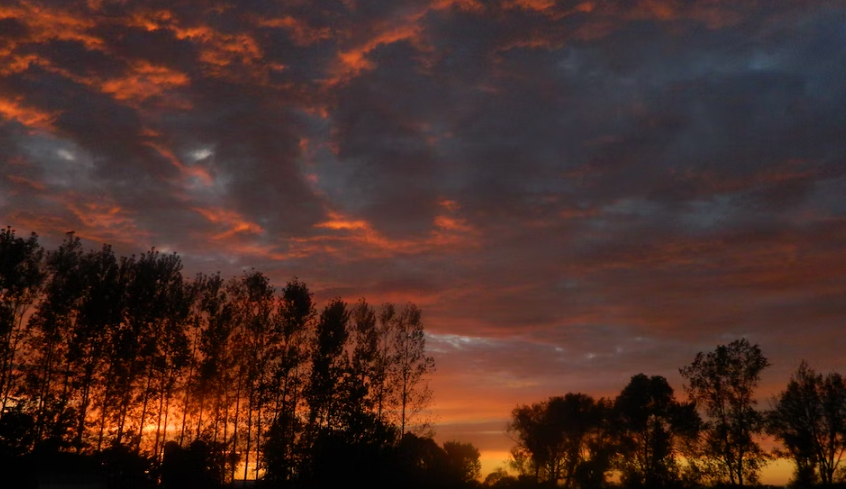 How To Find Mean Median Mode And Standard Deviation In A Continuous Frequency Table